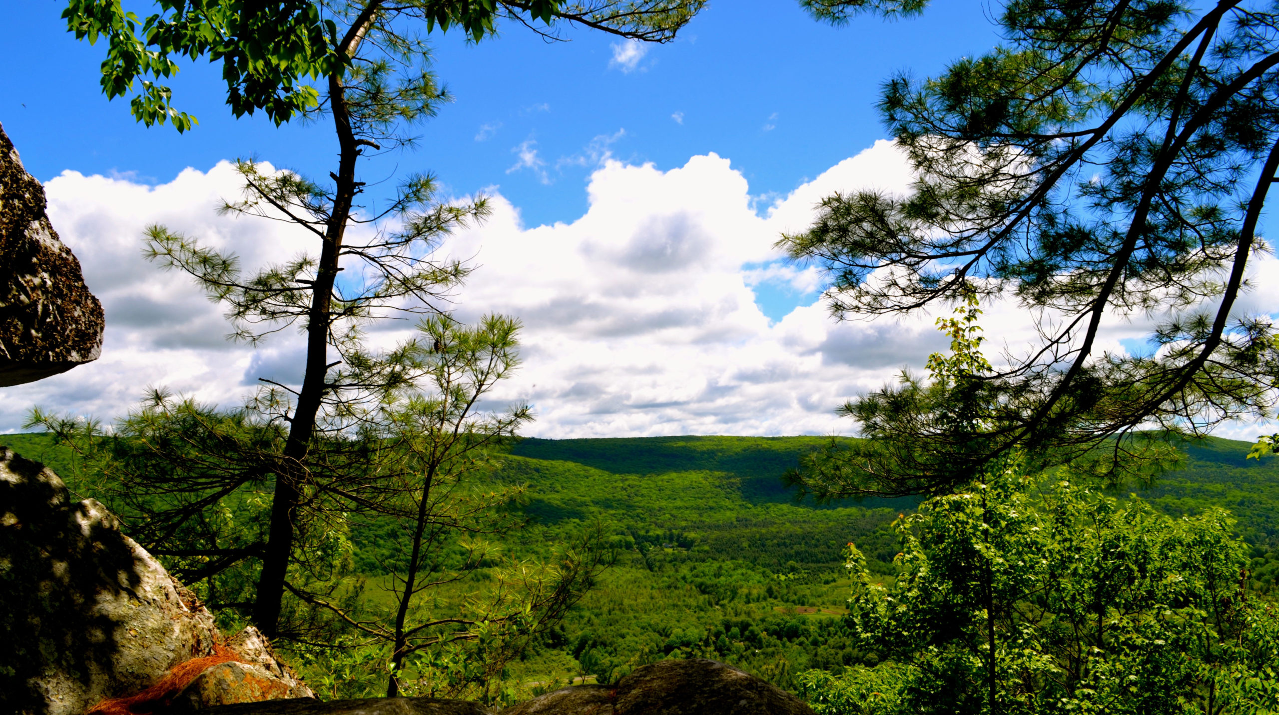 Climate Change and the Berkshires | David Guenette