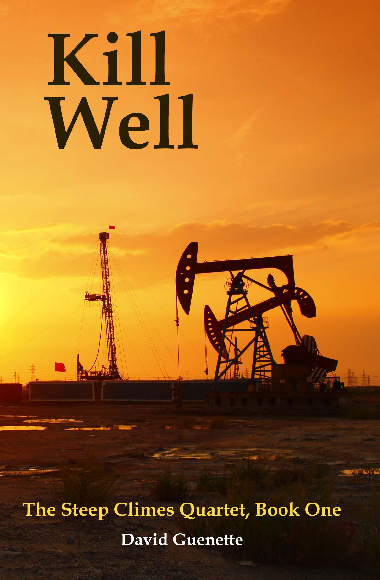 Kill Well’s Description and Praise | David Guenette